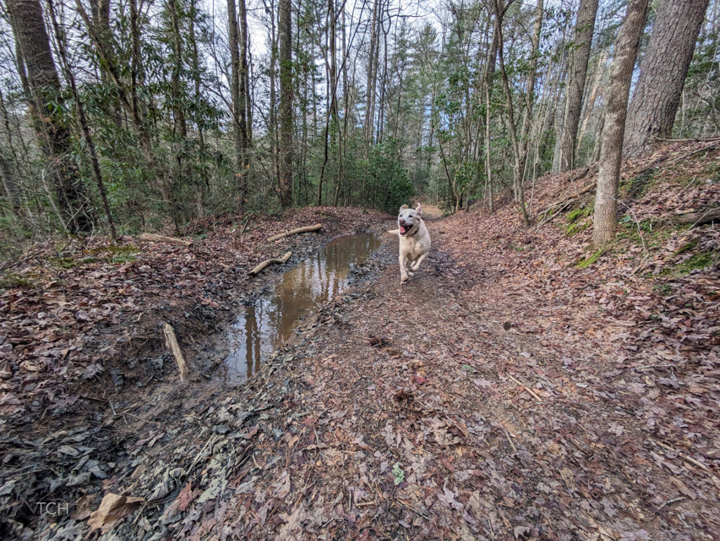 Three Forks Trail – Clayton, Georgia – The Casual Hike