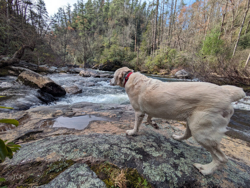 Three Forks Trail – Clayton, Georgia – The Casual Hike