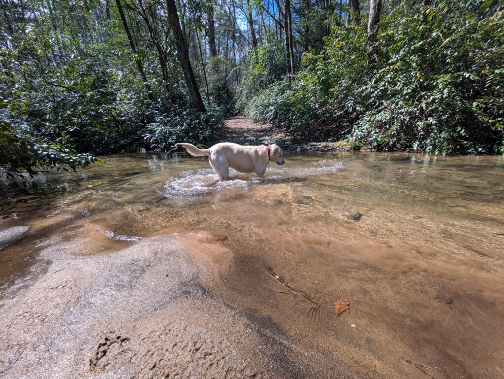 Three Forks Trail – Clayton, Georgia – The Casual Hike