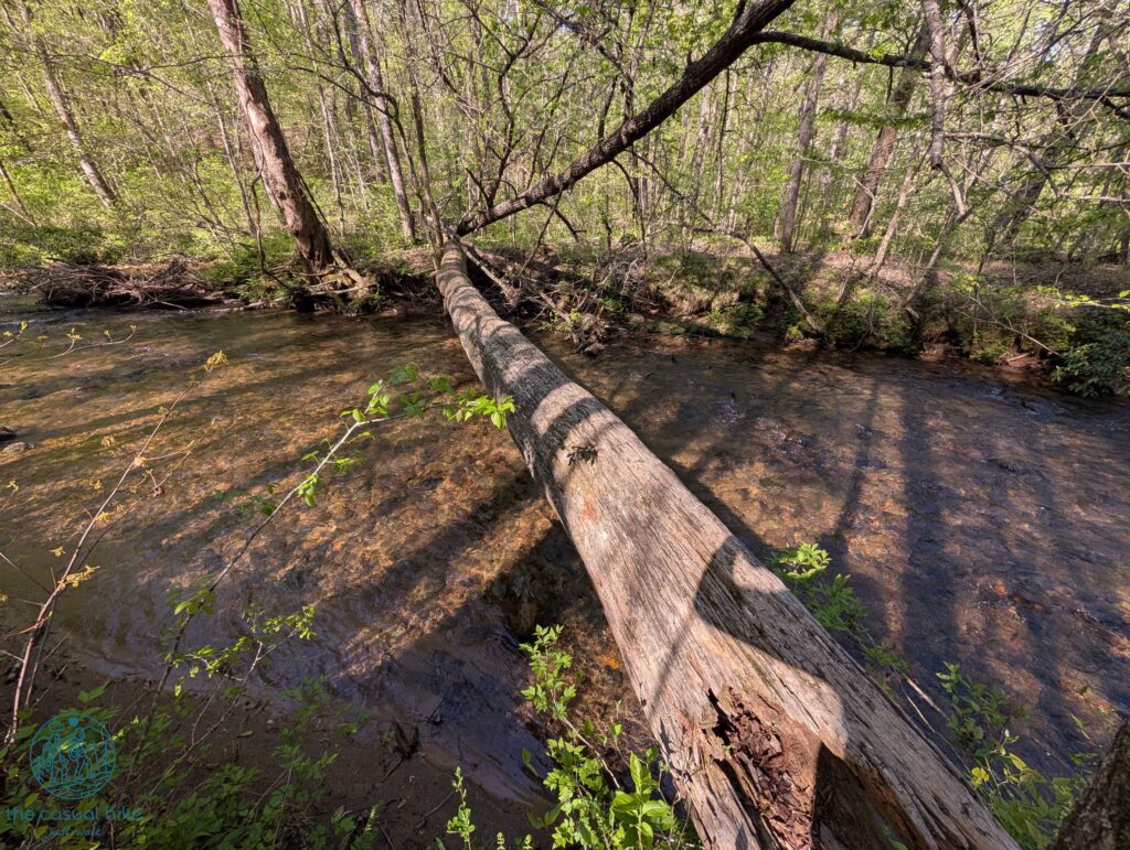 Montgomery Falls Trail – Dahlonega, GA – The Casual Hike