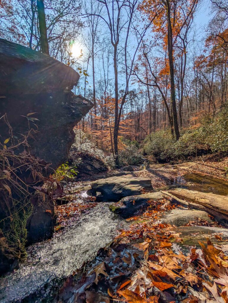 Sourwood Trail to Nancy Town Falls at Nancy Town Lake – Mt. Airy, GA ...